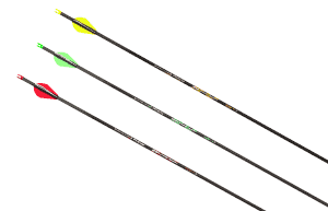 Victory RIP XV Arrows | Speed & Reduced Wind Drift